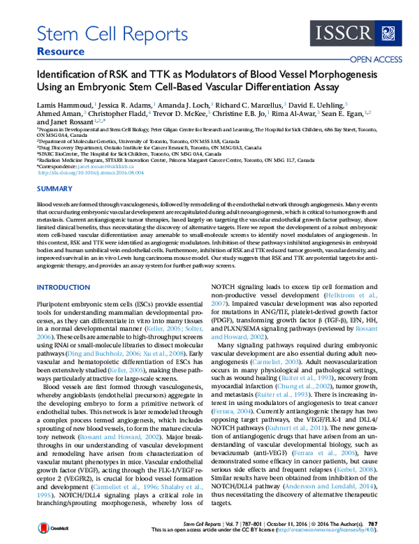 (PDF) Identification of RSK and TTK as Modulators of Blood Vessel Morphogenesis Using an ...