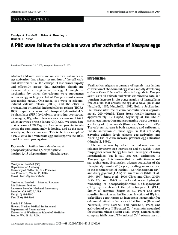 (PDF) A PKC wave follows the calcium wave after activation of Xenopus eggs