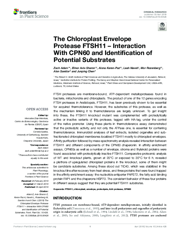 (PDF) The Chloroplast Envelope Protease FTSH11 – Interaction With CPN60 ...