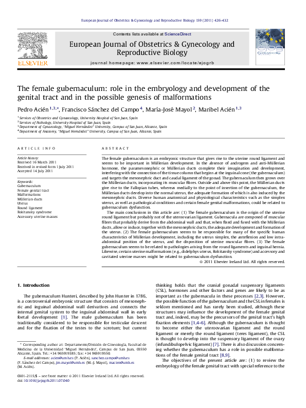 (PDF) The female gubernaculum: role in the embryology and development ...