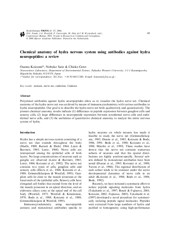 (PDF) Chemical anatomy of hydra nervous system using antibodies against ...