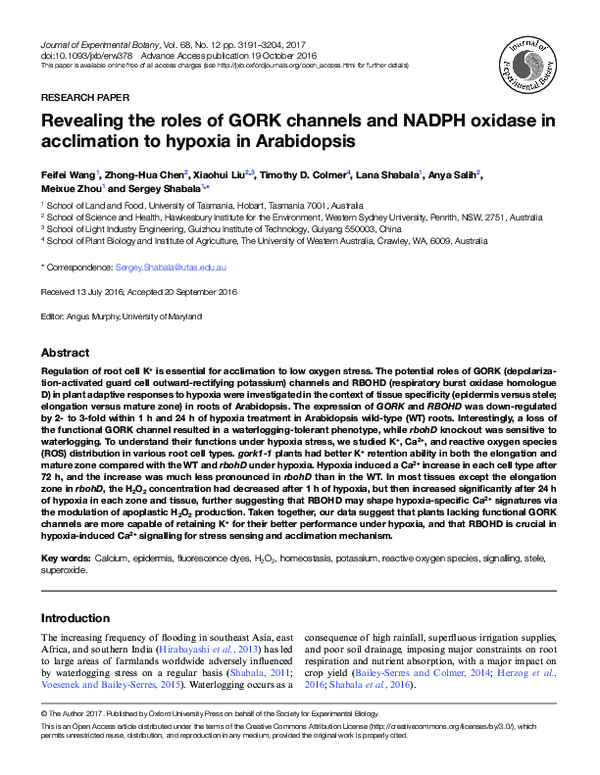 (PDF) Revealing the roles of GORK channels and NADPH oxidase in ...