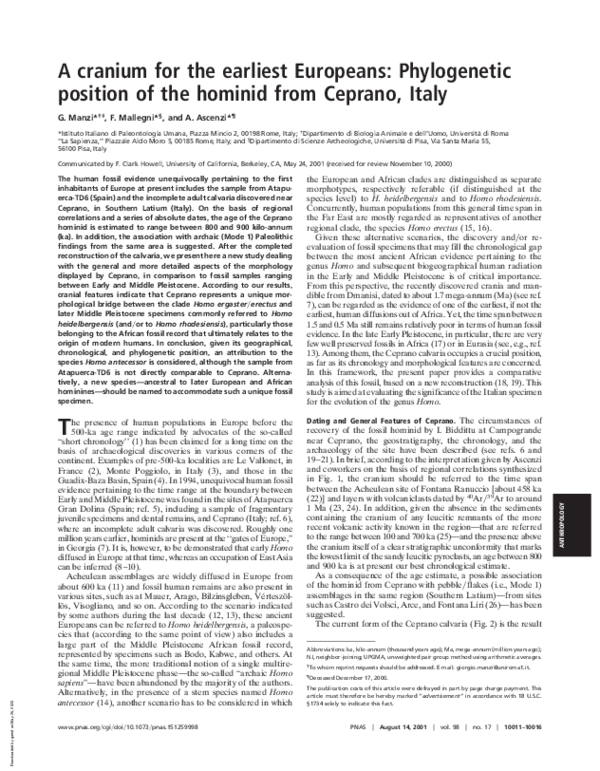 (PDF) A cranium for the earliest Europeans: Phylogenetic position of ...