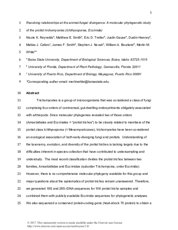 (PDF) Resolving relationships at the animal-fungal divergence: A ...
