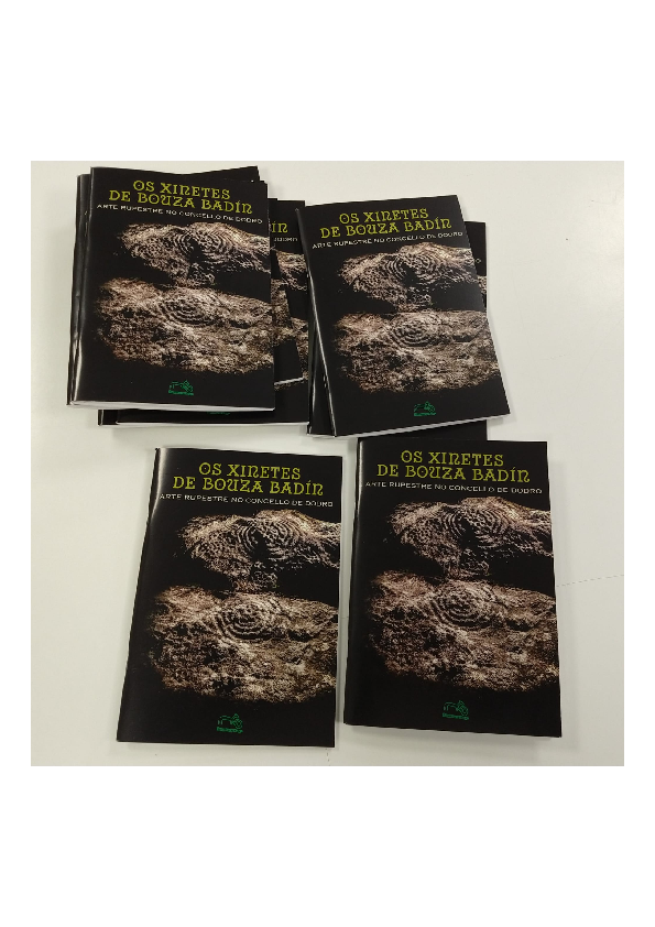 (PDF) Os Xinetes de Bouza Badín. Arte rupestre no Concello de Dodro