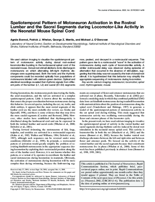 (PDF) Spatiotemporal pattern of motoneuron activation in the rostral lumbar and the sacral ...