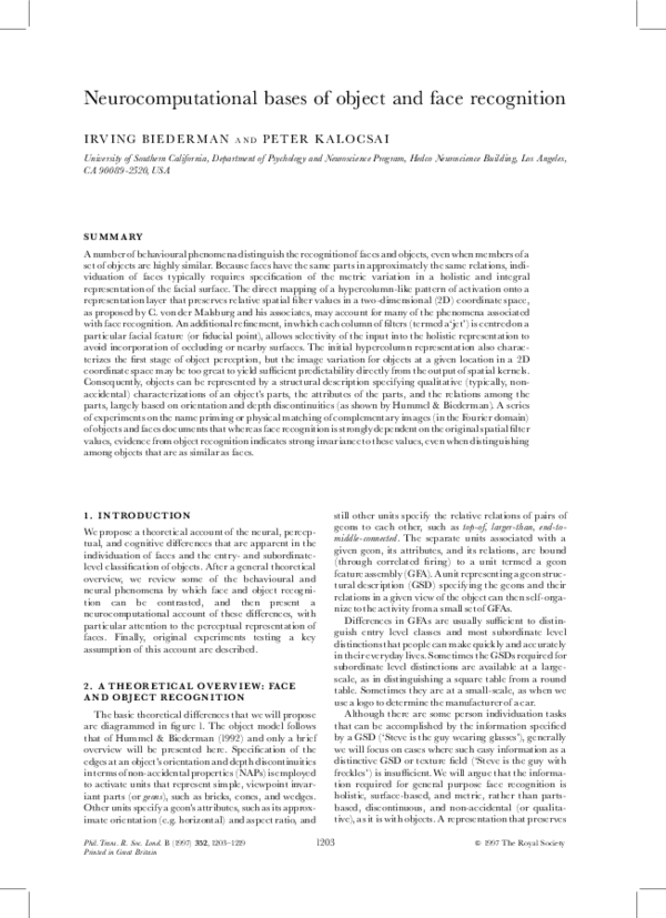 Pdf Neurocomputational Bases Of Object And Face Recognition Irving