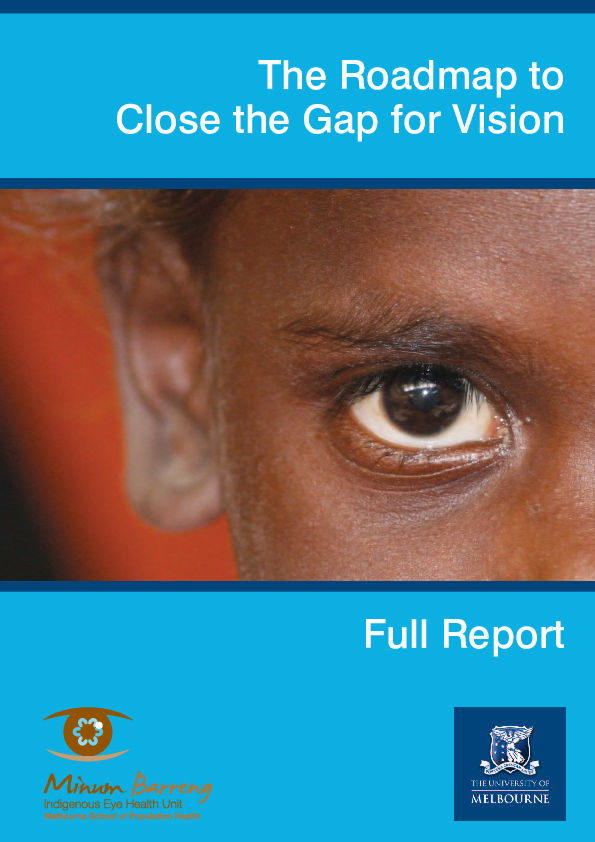 (PDF) The Roadmap to Close the Gap for Vision: Full Report