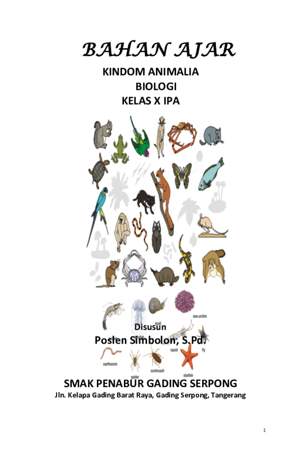 (PDF) KINGDOM-ANIMALIA