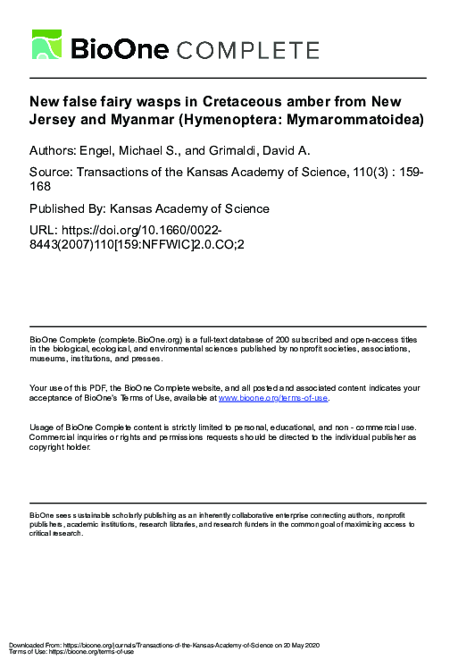 (PDF) New false fairy wasps in Cretaceous amber from New Jersey and ...