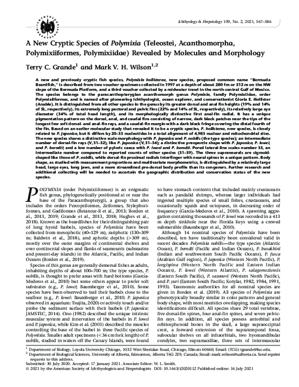 (PDF) A New Cryptic Species of Polymixia (Teleostei, Acanthomorpha ...