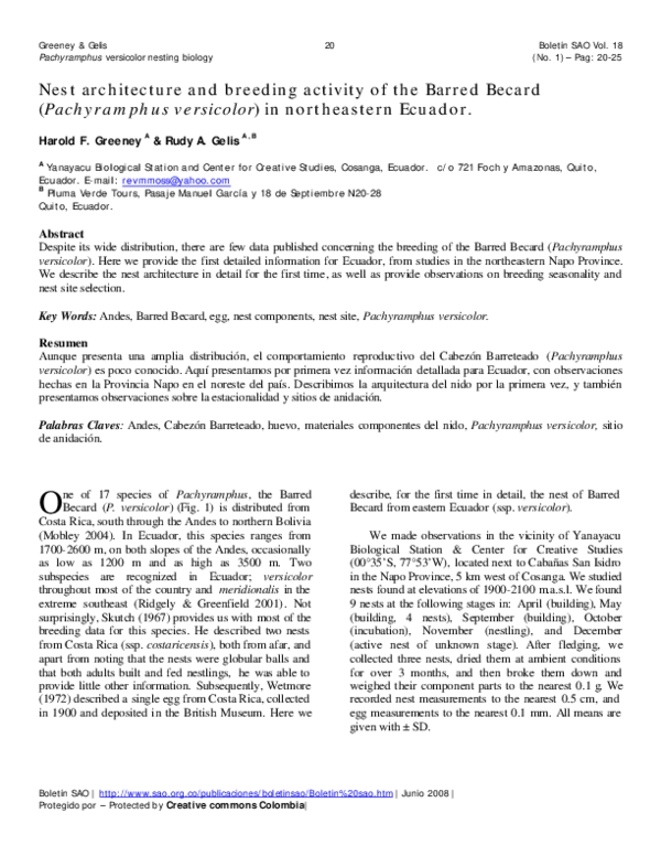 (PDF) Nest architecture and breeding activity of the Barred Becard ...