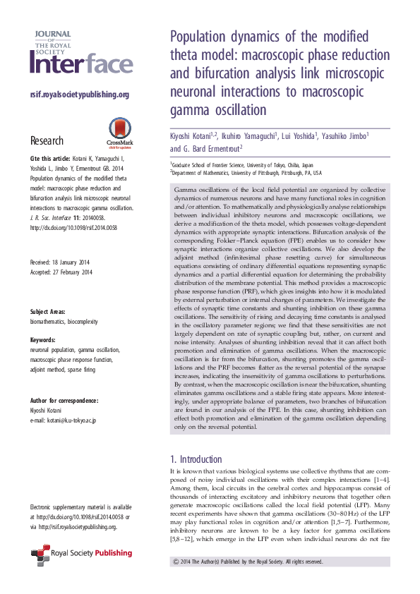 Population dynamics of the modified theta model: macroscopic phase ...