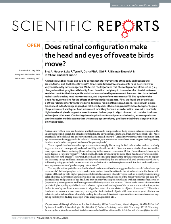 (PDF) Retinal Configuration Influences Avian Head/Eye Movements