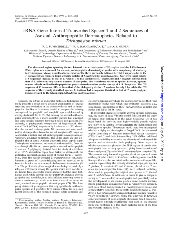 (PDF) rRNA gene internal transcribed spacer 1 and 2 sequences of ...