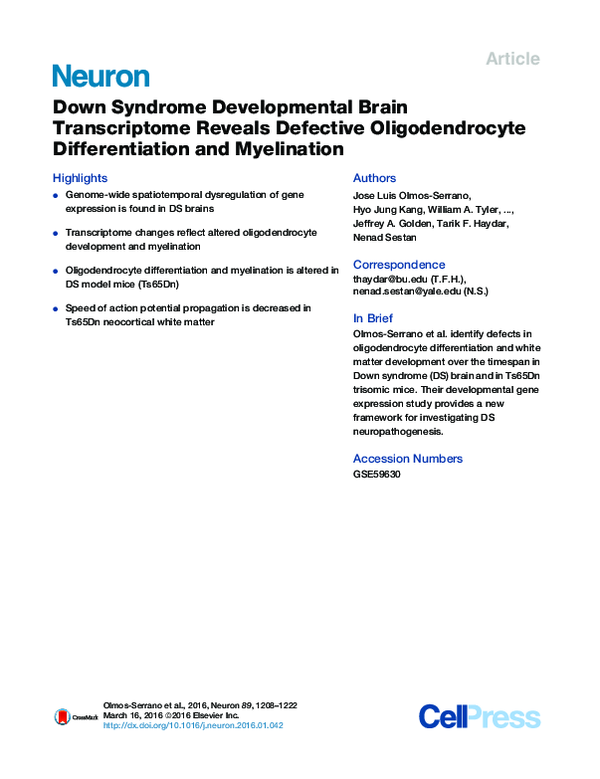 (PDF) Down Syndrome Developmental Brain Transcriptome Reveals Defective ...