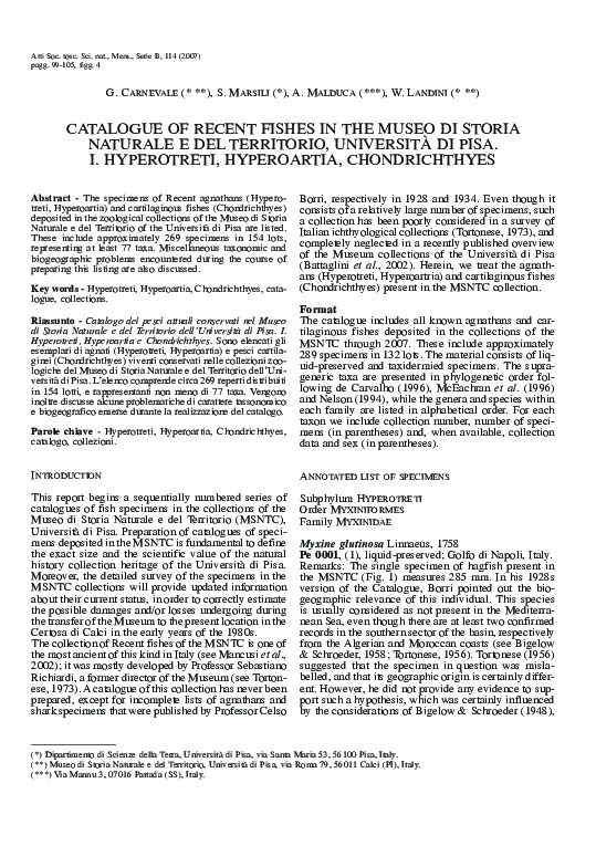 (PDF) CATALOGUE OF RECENT FISHES IN THE MUSEO DI STORIA NATURALE E DEL ...