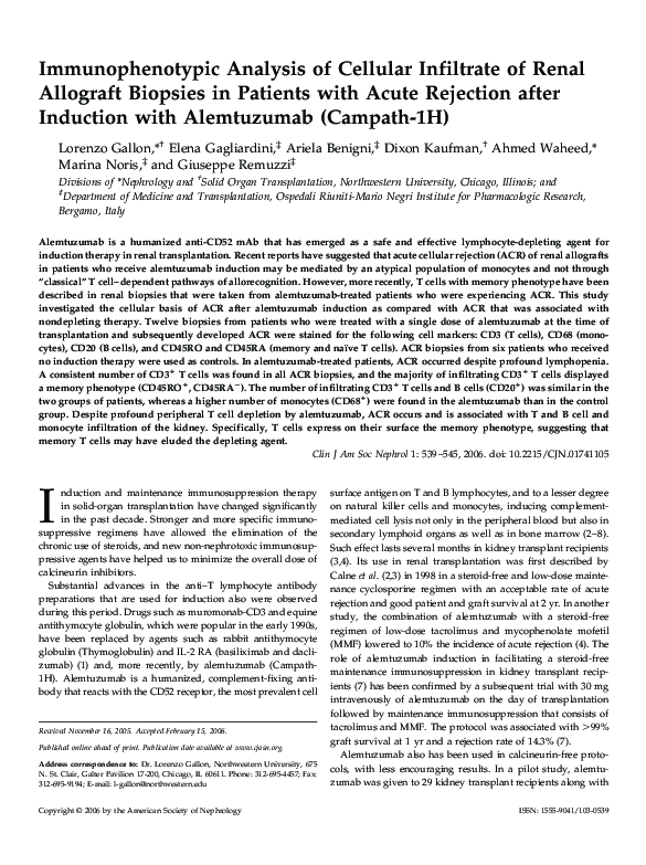 (PDF) Immunophenotypic Analysis of Renal Allograft Rejection Post ...