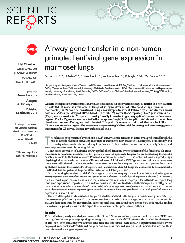 (PDF) Airway gene transfer in a non-human primate: Lentiviral gene ...