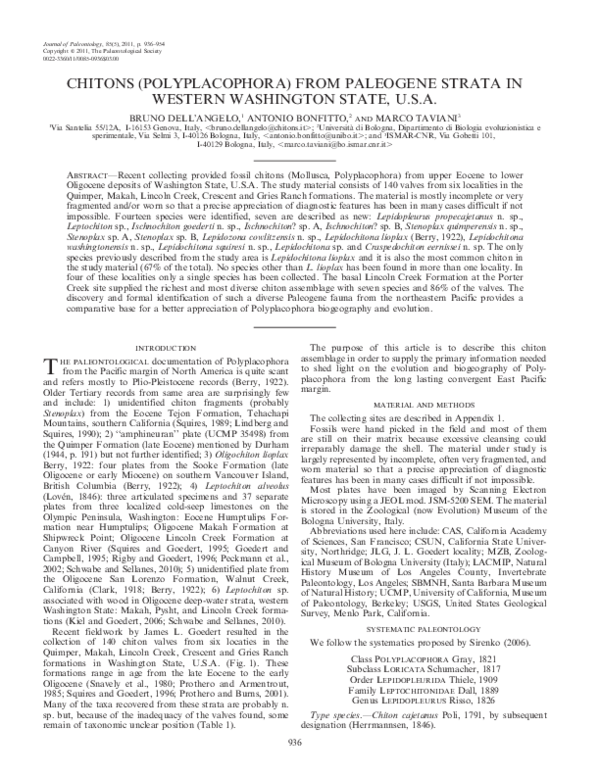 (PDF) Chitons (Polyplacophora) from Paleogene strata in Western Washington State, USA