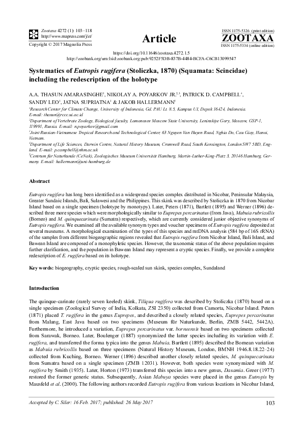 (PDF) Systematics of Eutropis rugifera (Stoliczka, 1870) (Squamata ...