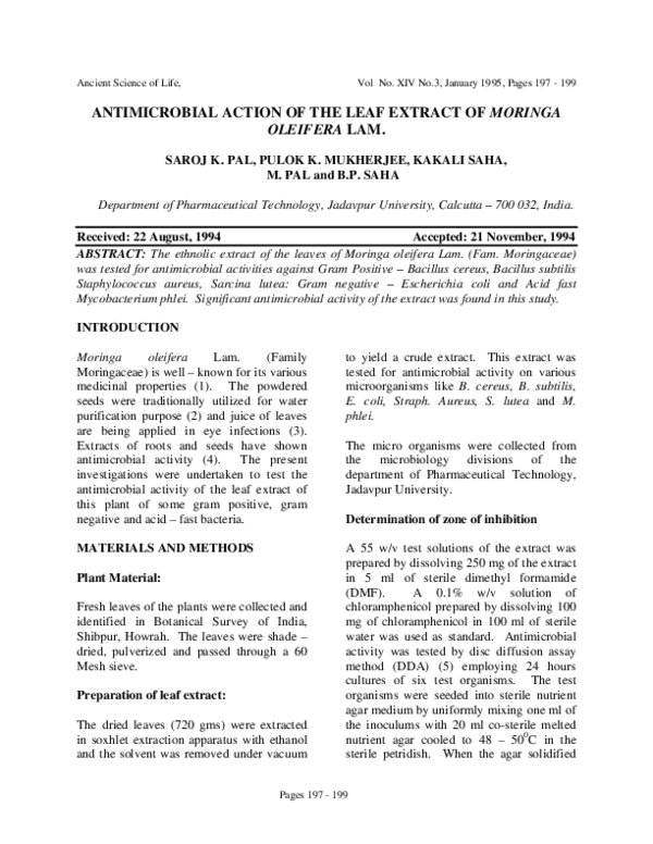 (PDF) Antimicrobial action of the leaf extract of moringa oleifera lam