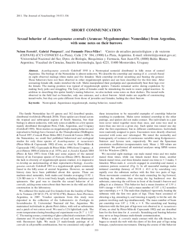 (PDF) Sexual behavior of Acanthogonatus centralis (Araneae ...