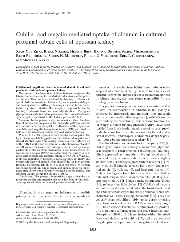 (PDF) Cubilin- and megalin-mediated uptake of albumin in cultured ...