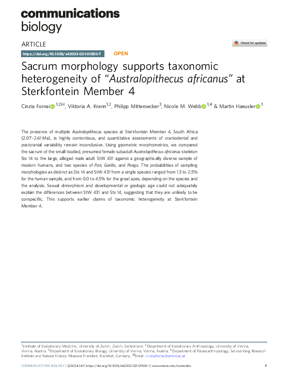 (PDF) Sacrum morphology supports taxonomic heterogeneity of ...