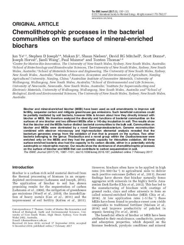 (PDF) Chemolithotrophic processes in the bacterial communities on the ...