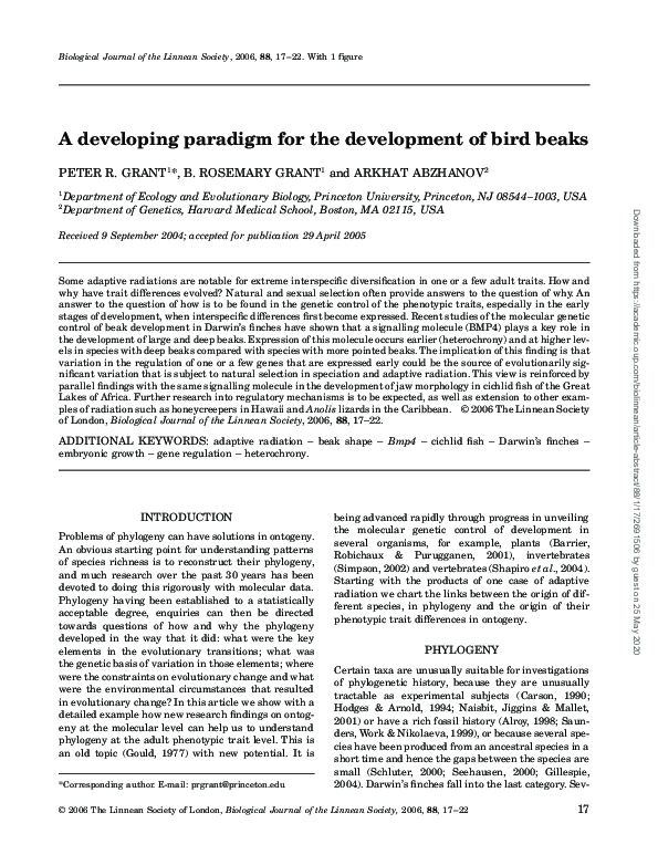 (PDF) A developing paradigm for the development of bird beaks