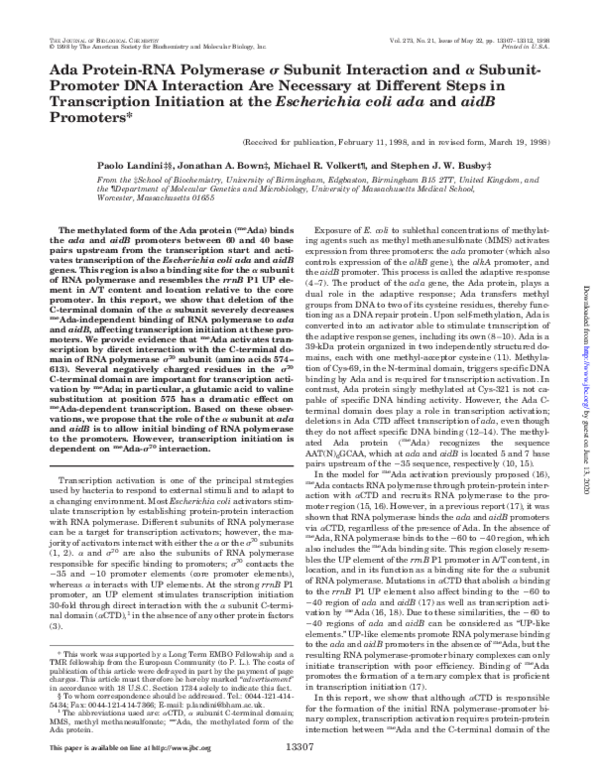 (PDF) Ada Protein-RNA Polymerase sigma Subunit Interaction and alpha ...