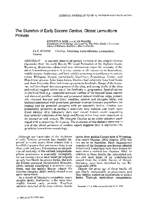 (PDF) The skeleton of early EoceneCantius, oldest lemuriform primate