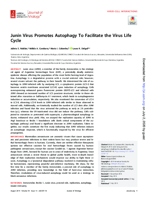 (PDF) Junín Virus Promotes Autophagy To Facilitate the Virus Life Cycle