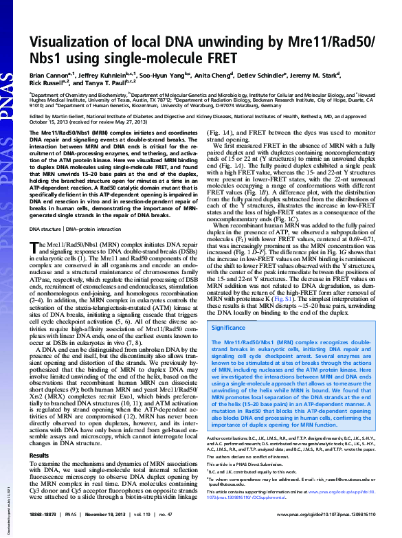 (PDF) Visualization of local DNA unwinding by Mre11/Rad50/Nbs1 using ...