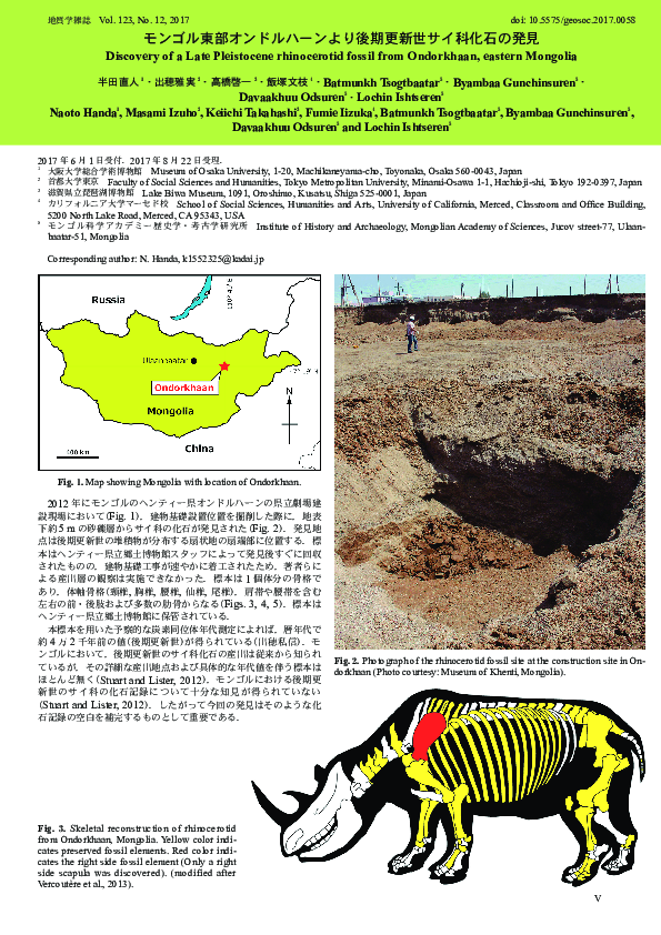 (PDF) Discovery of a Late Pleistocene rhinocerotid fossil from ...