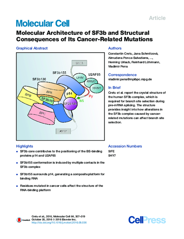 (PDF) Molecular Architecture of SF3b and Structural Consequences of Its ...