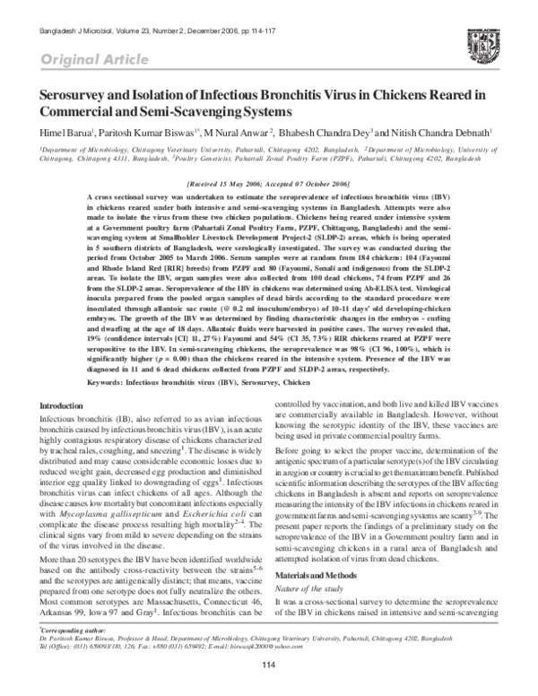 (PDF) Serosurvey and Isolation of Infectious Bronchitis Virus in ...