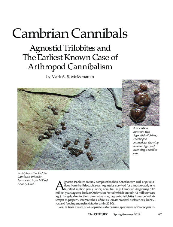 (PDF) Cambrian Cannibals: Agnostid Trilobites and the Earliest Known ...