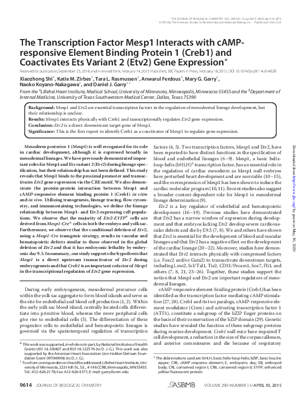(PDF) The transcription factor, Mesp1, interacts with cAMP responsive ...