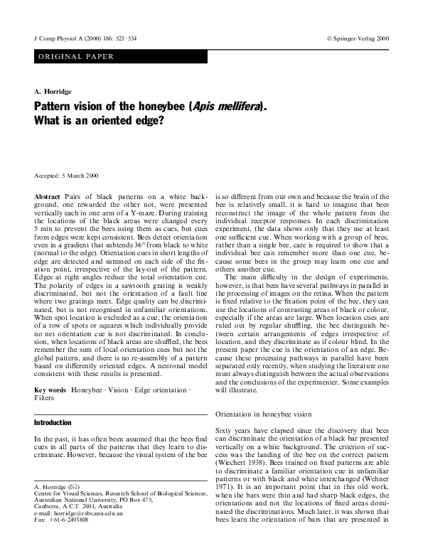 (PDF) Pattern vision of the honeybee ( Apis mellifera ). What is an ...