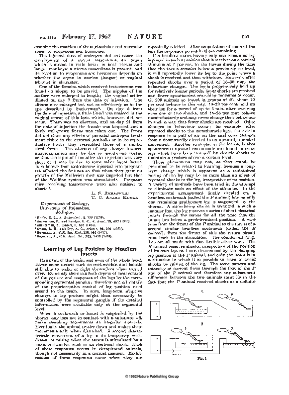 (PDF) Learning of Leg Position by Headless Insects