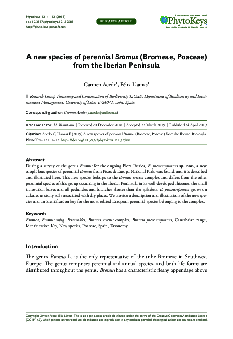 (PDF) A new species of perennial Bromus (Bromeae, Poaceae) from the ...