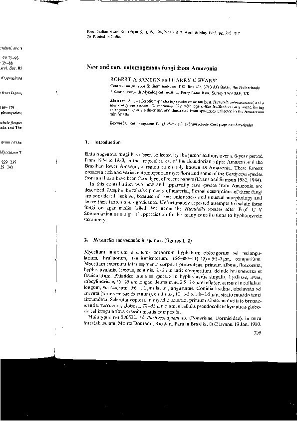 (PDF) New and rare entomogenous fungi from Amazonia