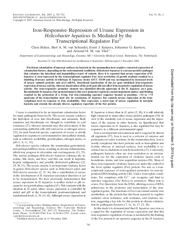 (PDF) Iron-Responsive Repression of Urease Expression in Helicobacter ...
