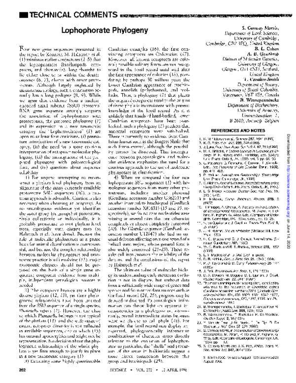 (PDF) Lophophorate Phylogeny