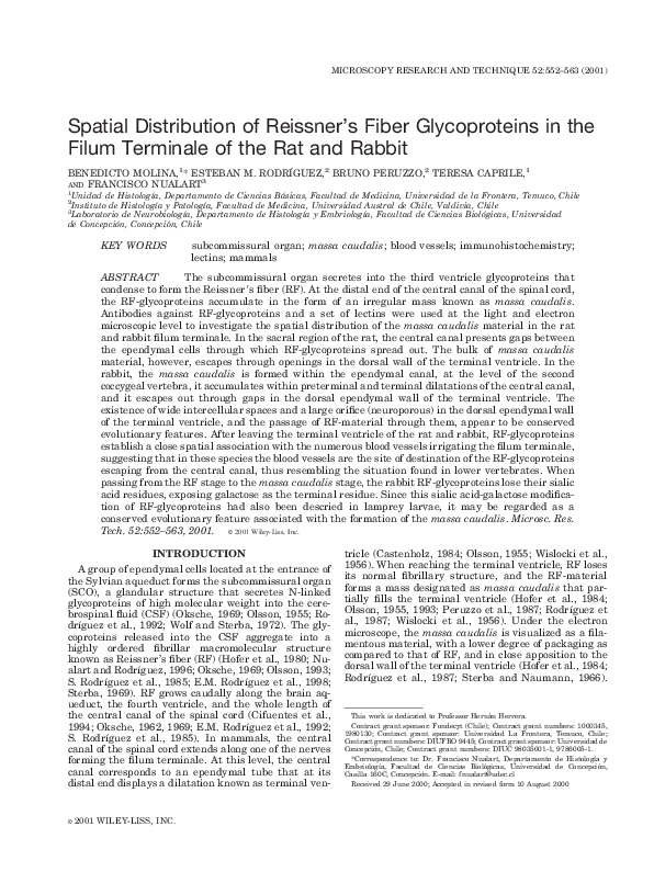 (PDF) Spatial distribution of Reissner's fiber glycoproteins in the ...