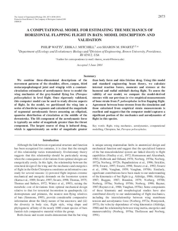 (PDF) A computational model for estimating the mechanics of horizontal flapping flight in bats ...