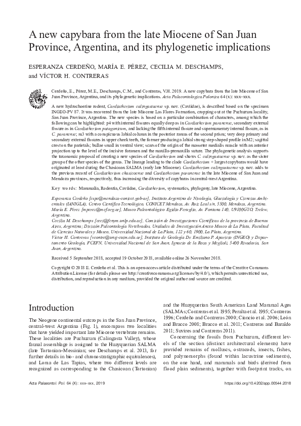 (PDF) A new capybara from the late Miocene of San Juan Province ...