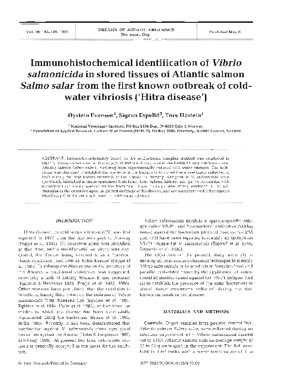 (PDF) Immunohistochemical identification of Vibrio salmonicida in ...